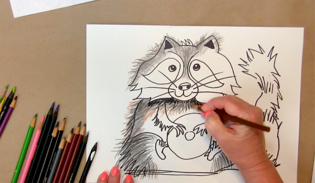 How to Draw a Raccoon with Colored Pencils Video Class - Christian Art ...